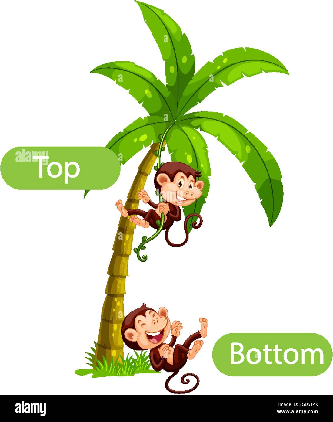 Opposite words with top and bottom illustration Stock Vector Image ...