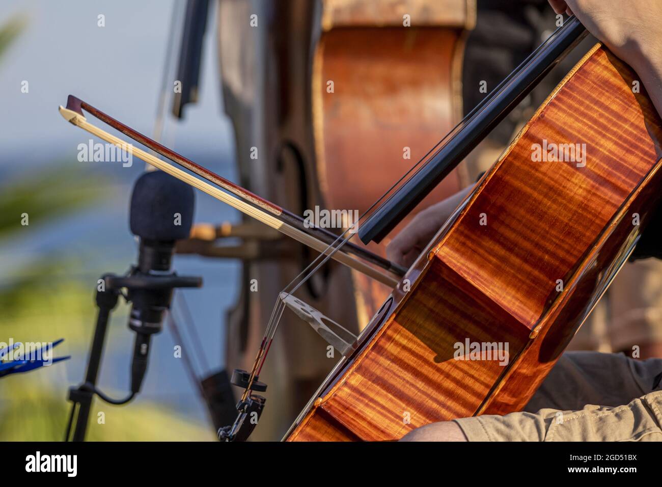 Classic Microphone Front View High Resolution Stock Photography and ...