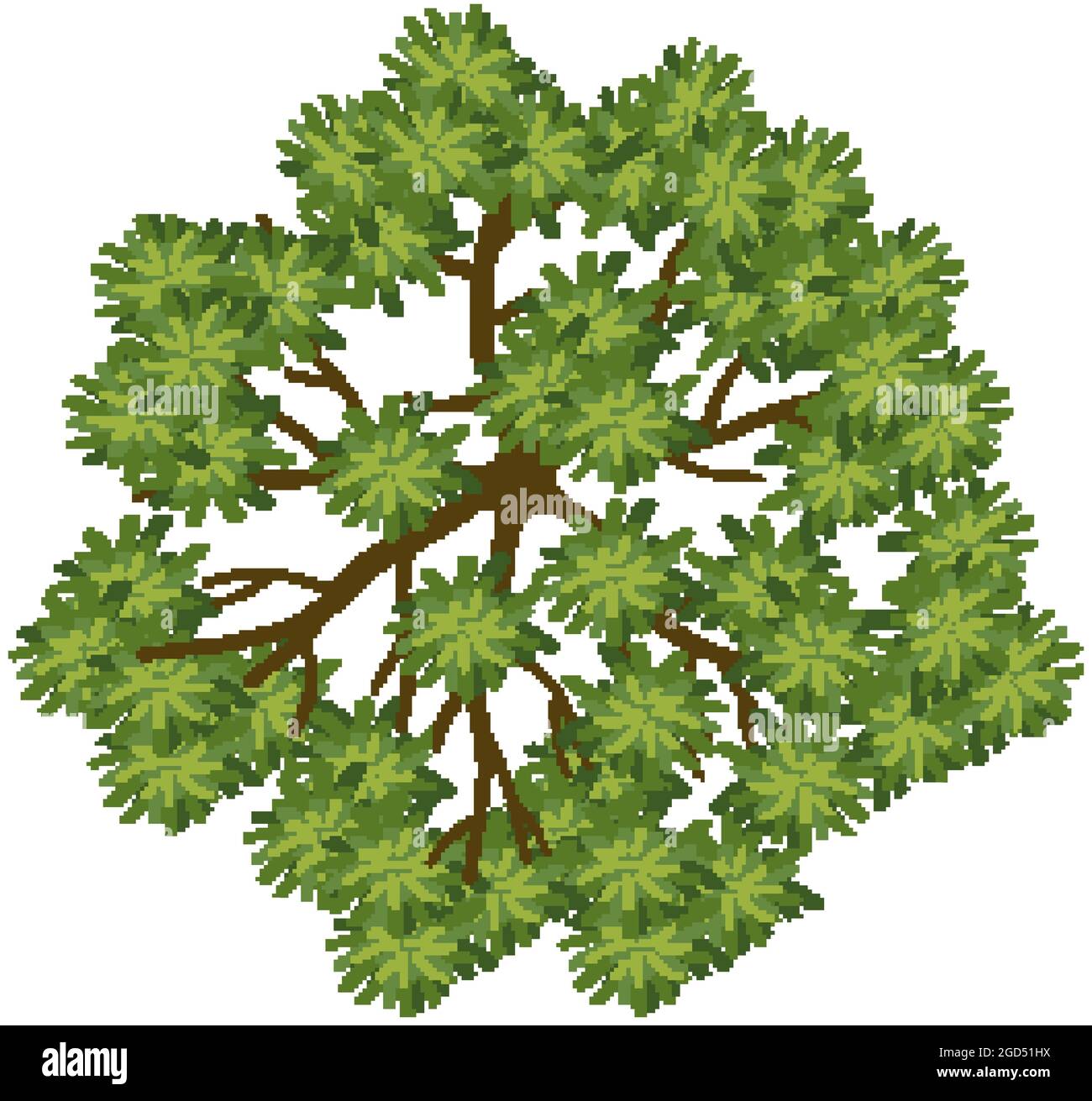 Top view of a tree isolated on white background illustration Stock ...