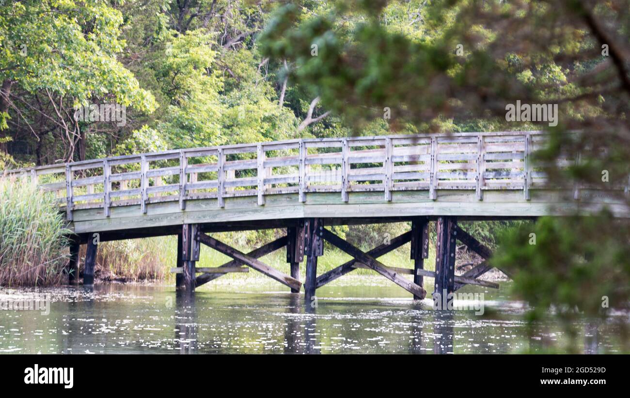 Sunken trees hi-res stock photography and images - Alamy