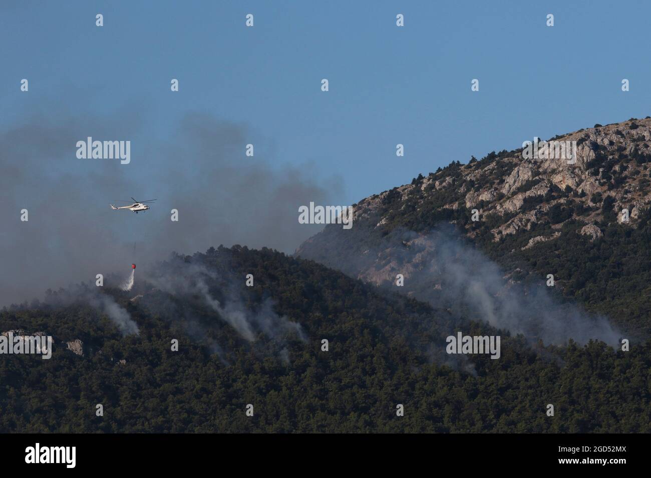 Greece - Parnitha, impressions of the fire damage on Mount Parnitha on ...