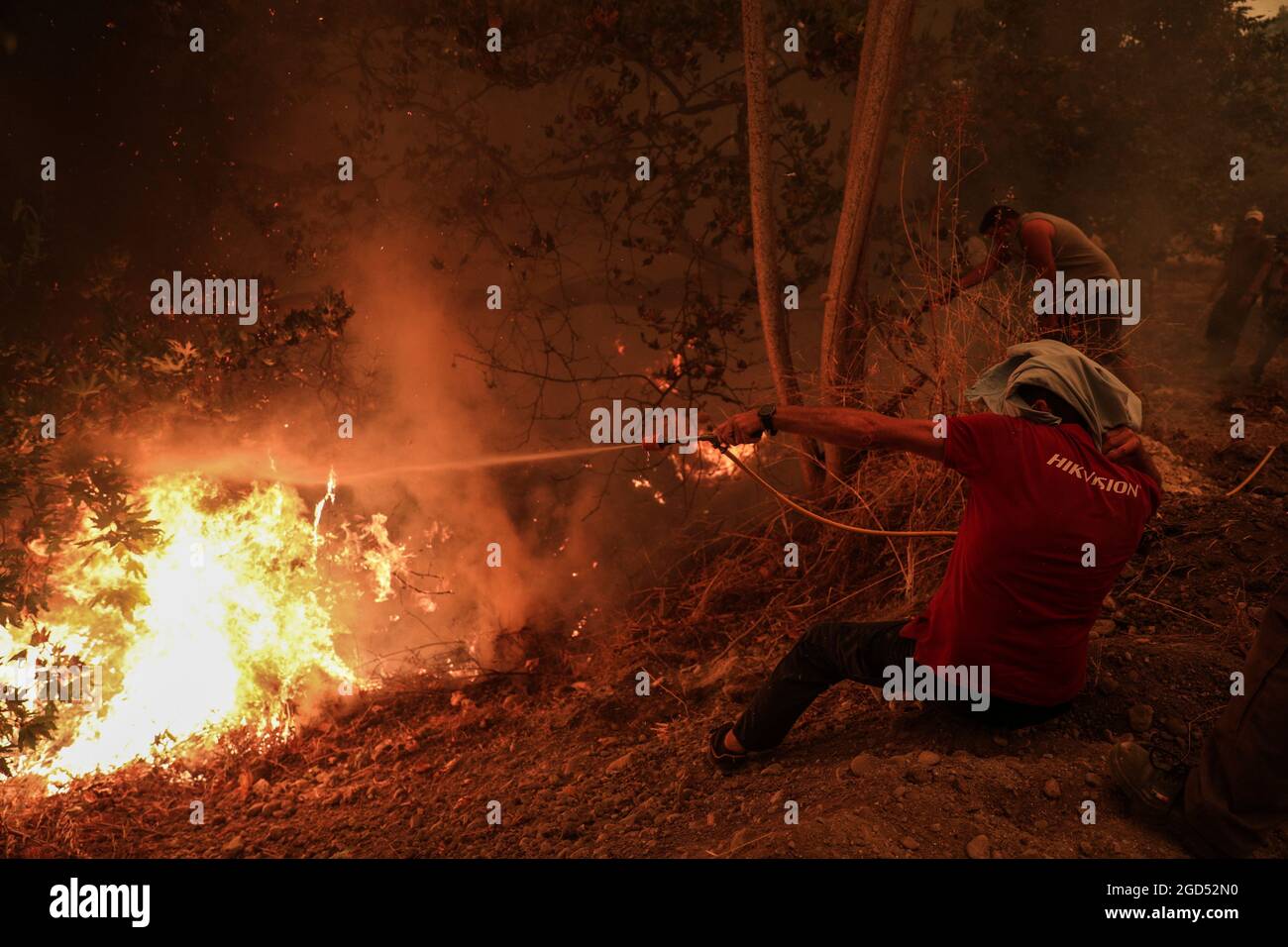 Greece - Euboa island, fire in Gouves in the north of the Greek island ...