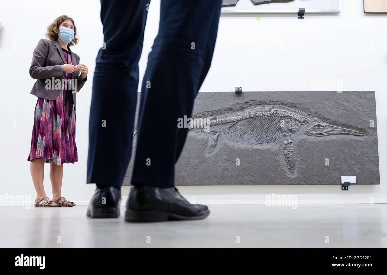 Erin maxwell hi-res stock photography and images - Alamy