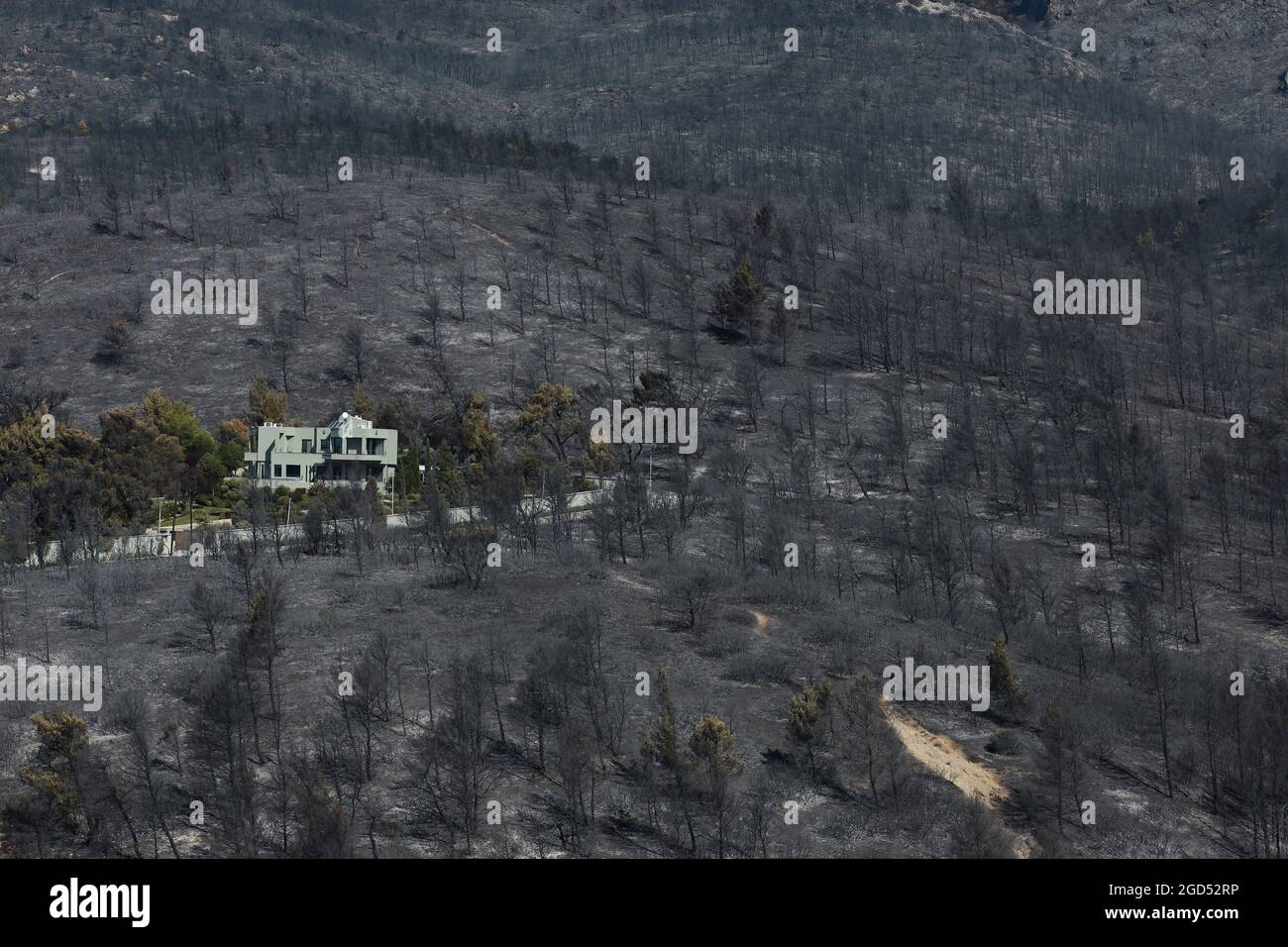 Greece - Parnitha, impressions of the fire damage on Mount Parnitha on ...