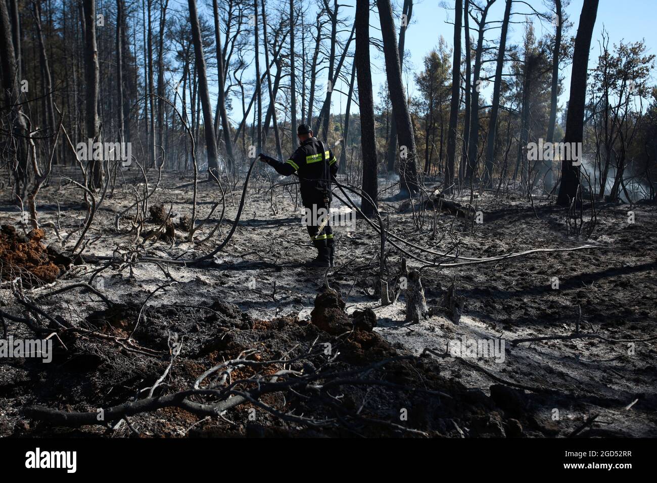 Greece - Parnitha, impressions of the fire damage on Mount Parnitha on ...