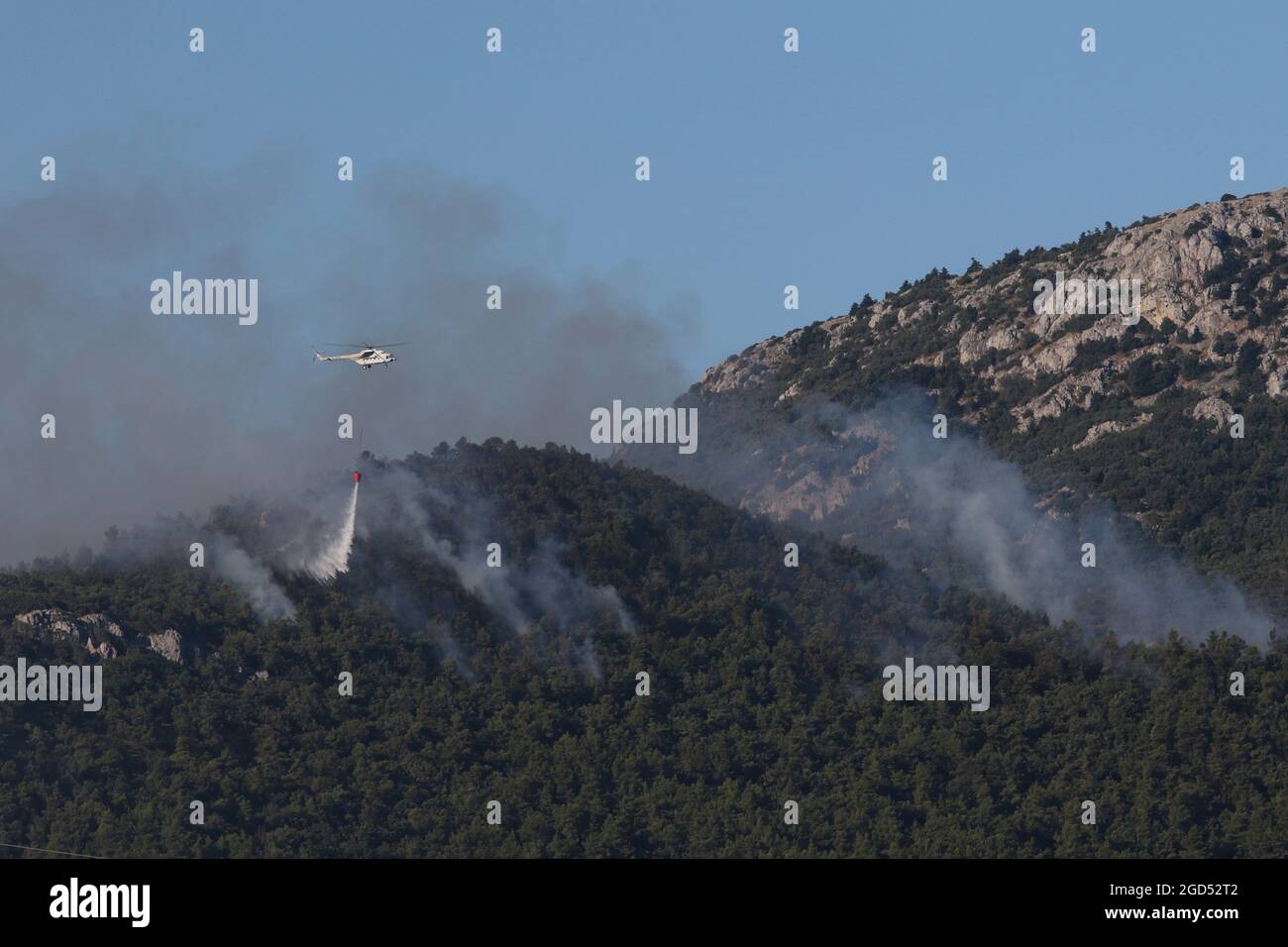Greece - Parnitha, impressions of the fire damage on Mount Parnitha on ...