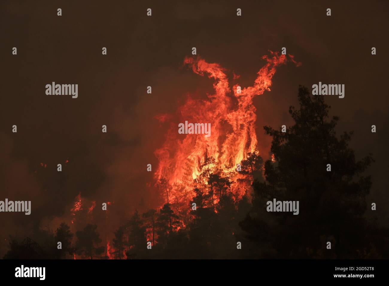 Greece - Euboa island, fire in Gouves in the north of the Greek island ...