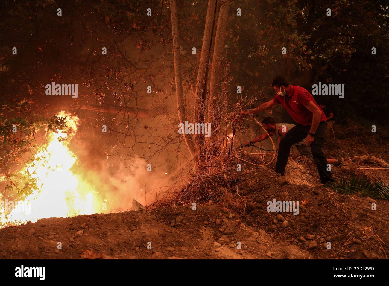 Greece - Euboa island, fire in Gouves in the north of the Greek island ...
