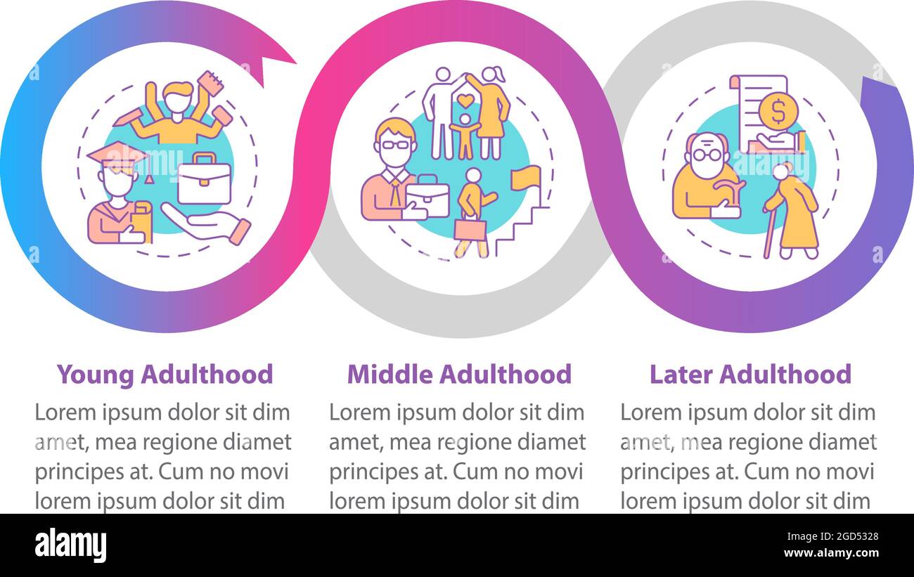 Stages of adulthood vector infographic template Stock Vector Image ...