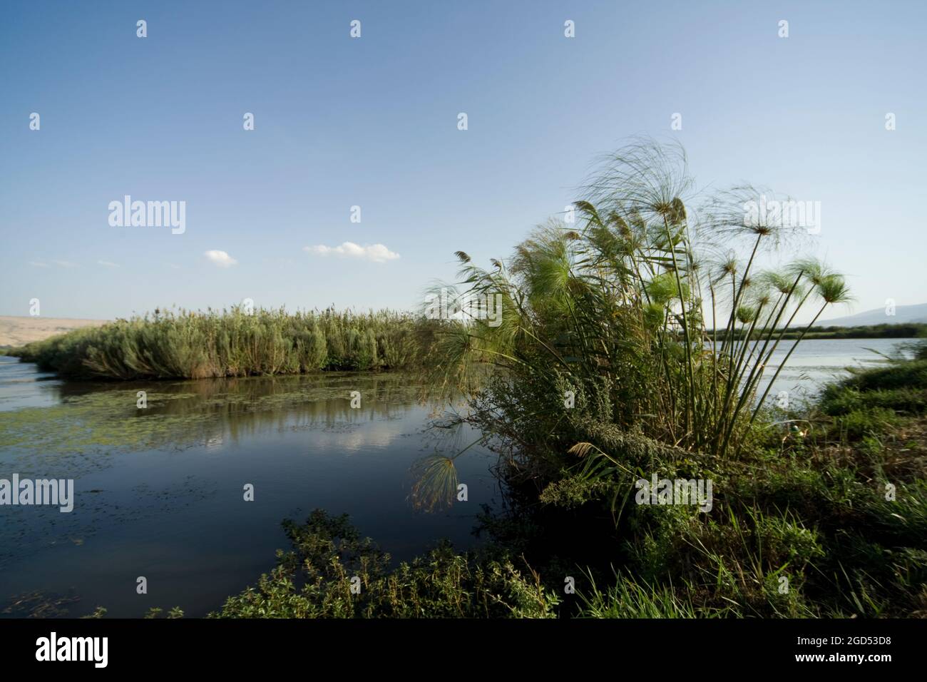 view of the Hula Valley, Galilee, Israel Stock Photo - Alamy
