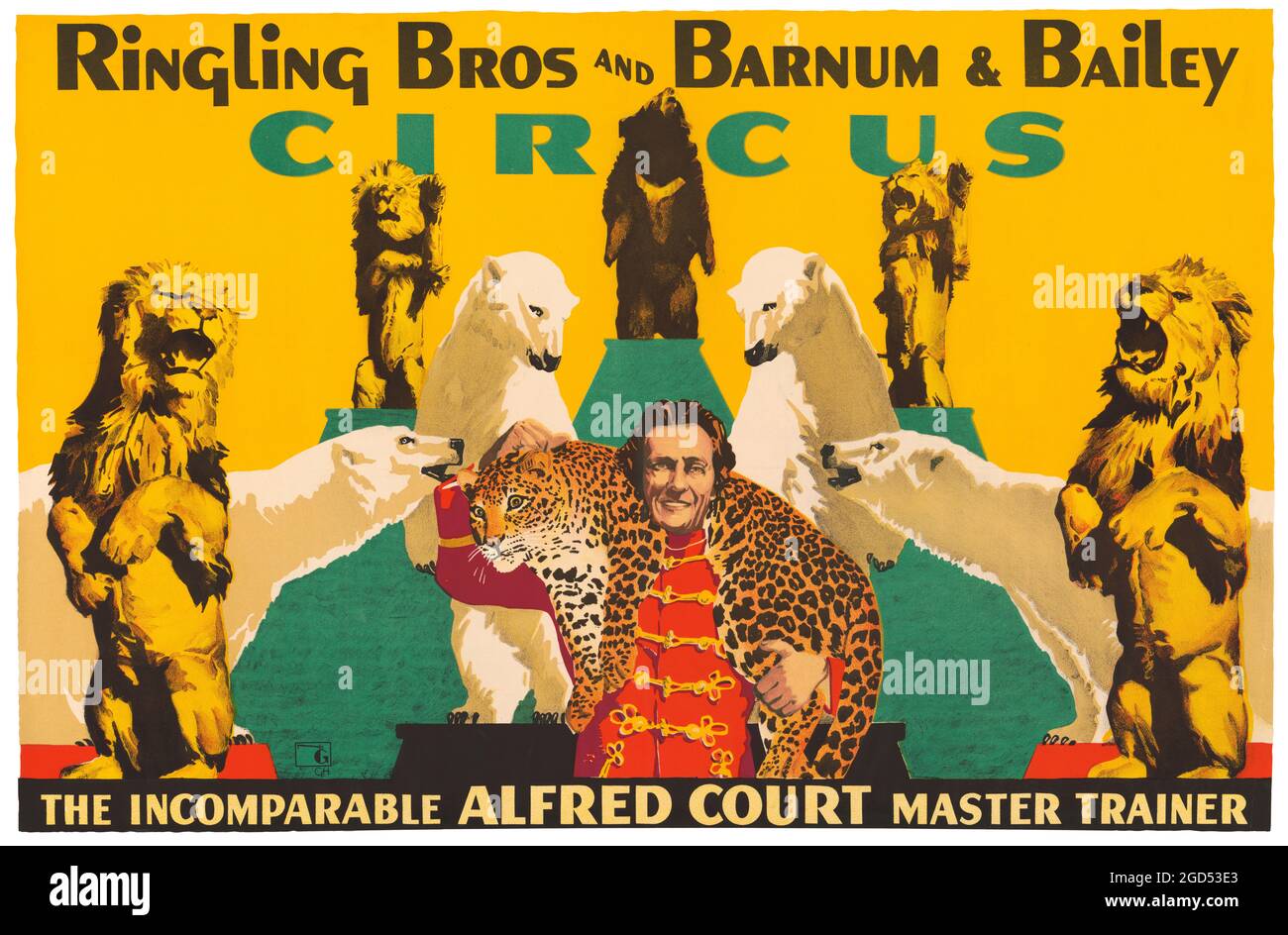 The incomparable Cut Out Stock Images & Pictures - Alamy