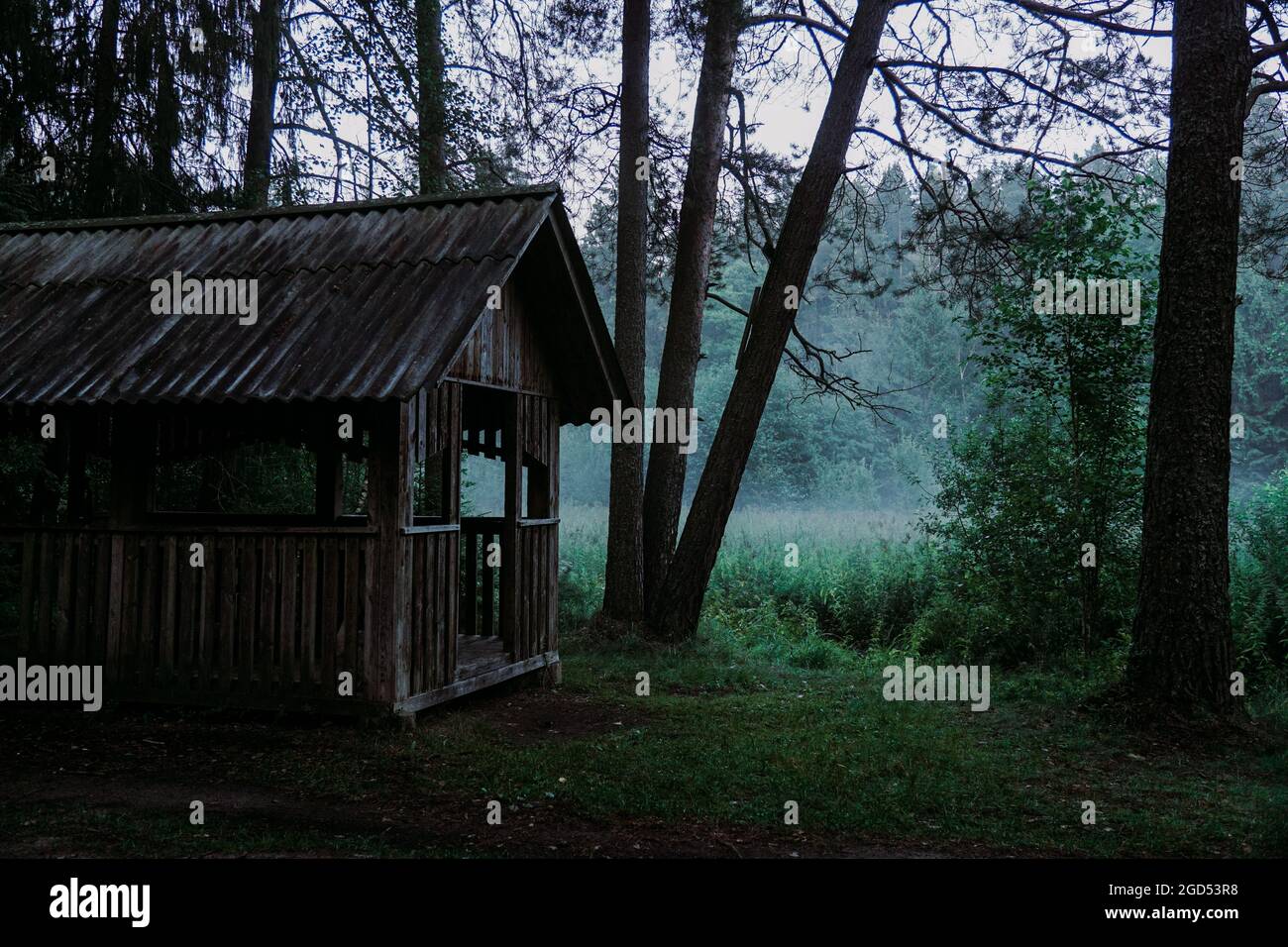 An old wooden gazebo in a green forest. Fog over the swamp in the ...