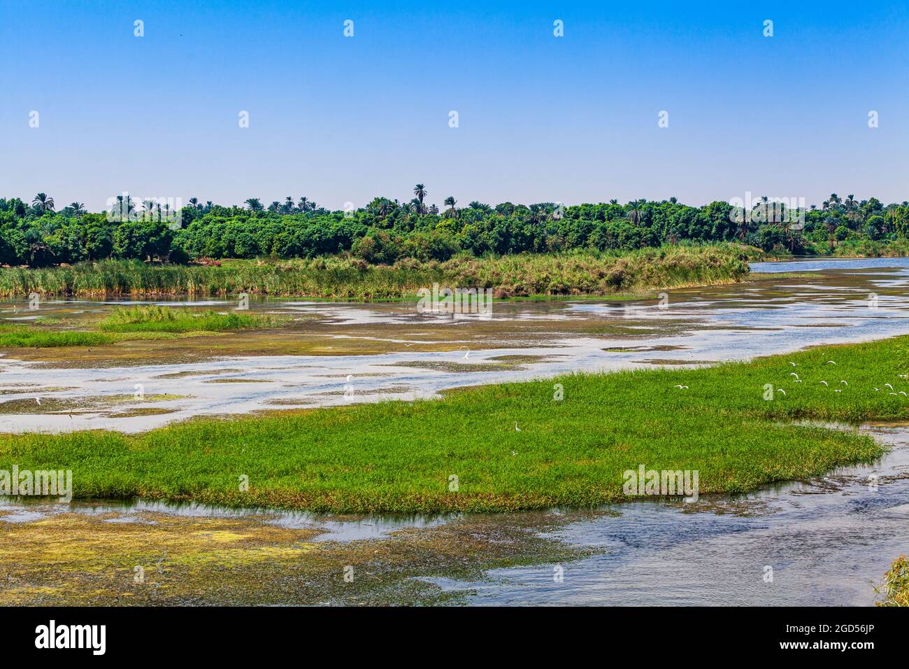 Landscape view of large river nile in Egypt Stock Photo - Alamy