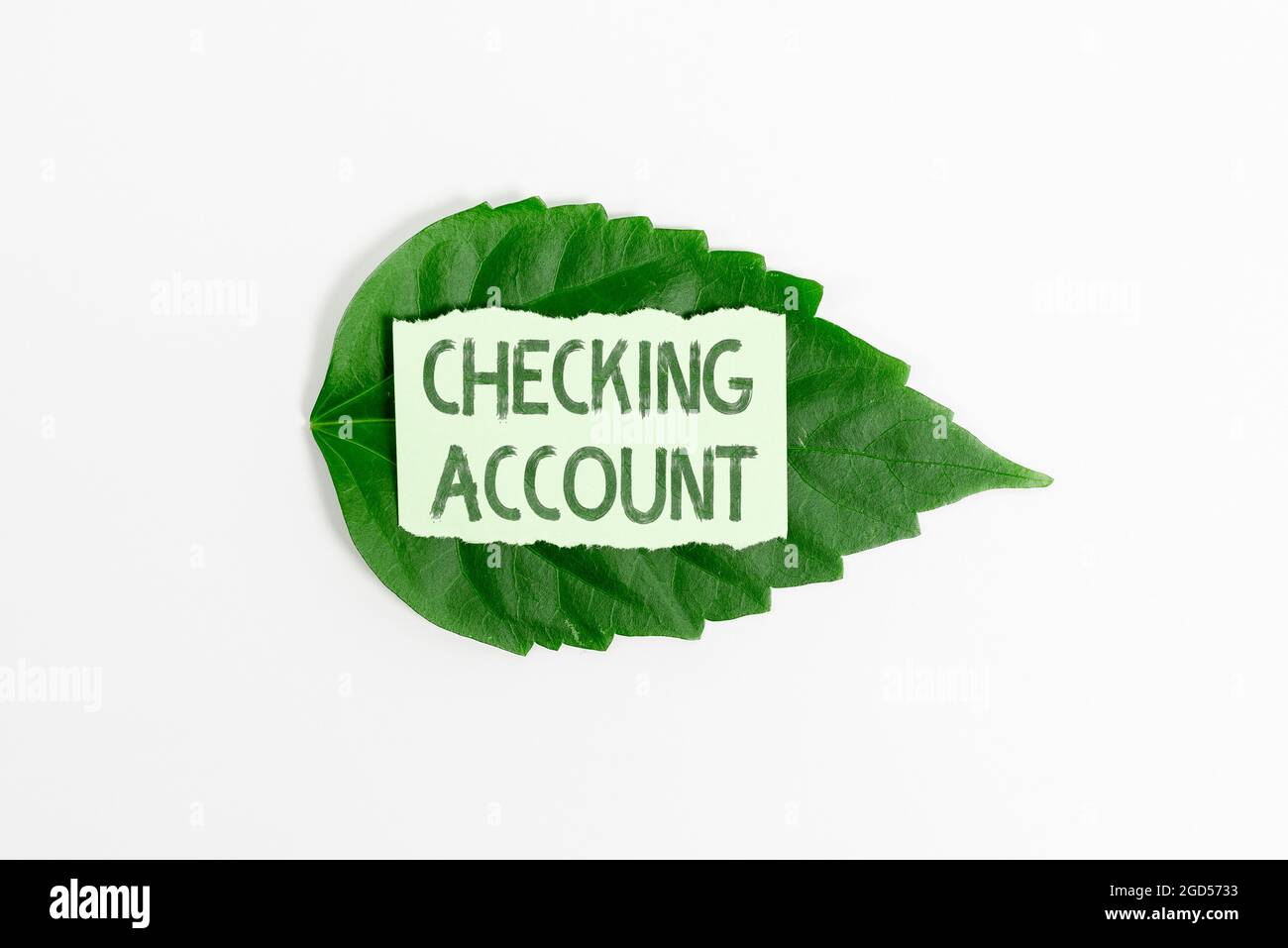 Hand writing sign Checking Account. Internet Concept bank account that ...