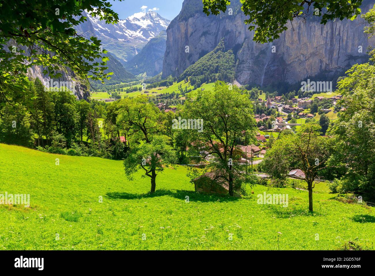 Scenic view of Swiss alpine meadows on a sunny day. Switzerland ...