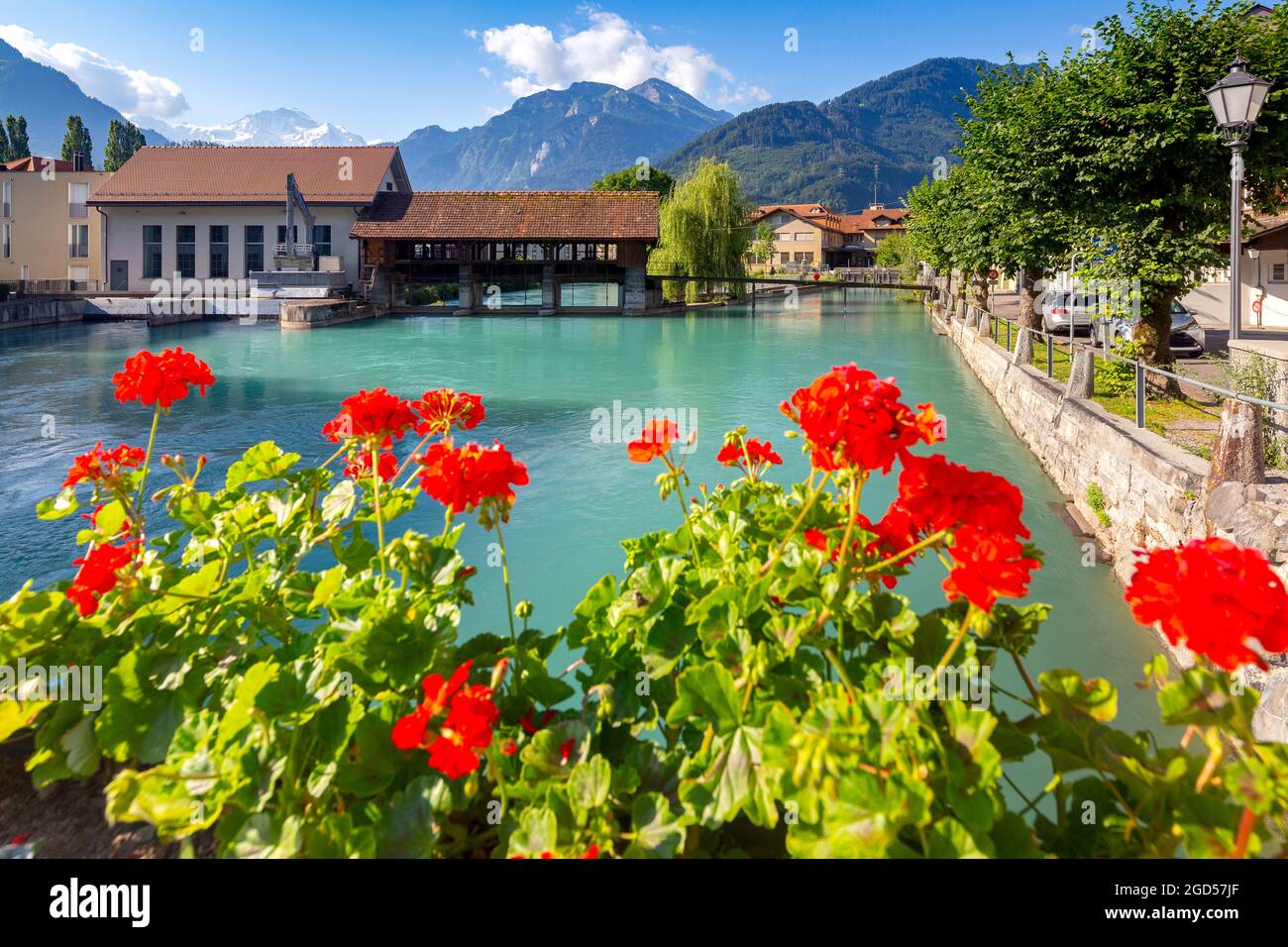 View of the old medieval wooden dam and the mill on the river Aare ...