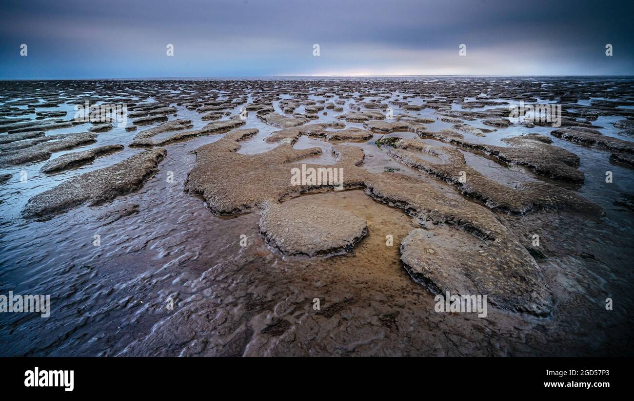 Panoramic view over the tidal flats along the shore of the netherlands ...