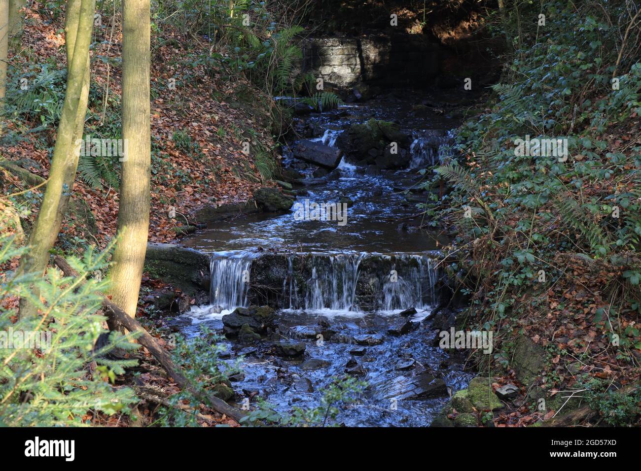 Stream leading into a tiny waterfall Stock Photo - Alamy