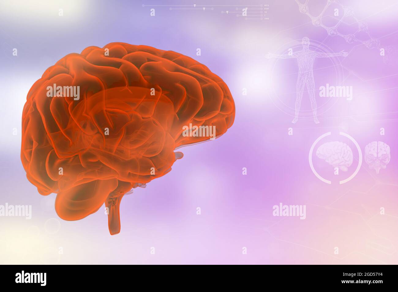 Human brain, neurology work concept - highly detailed hi-tech ...