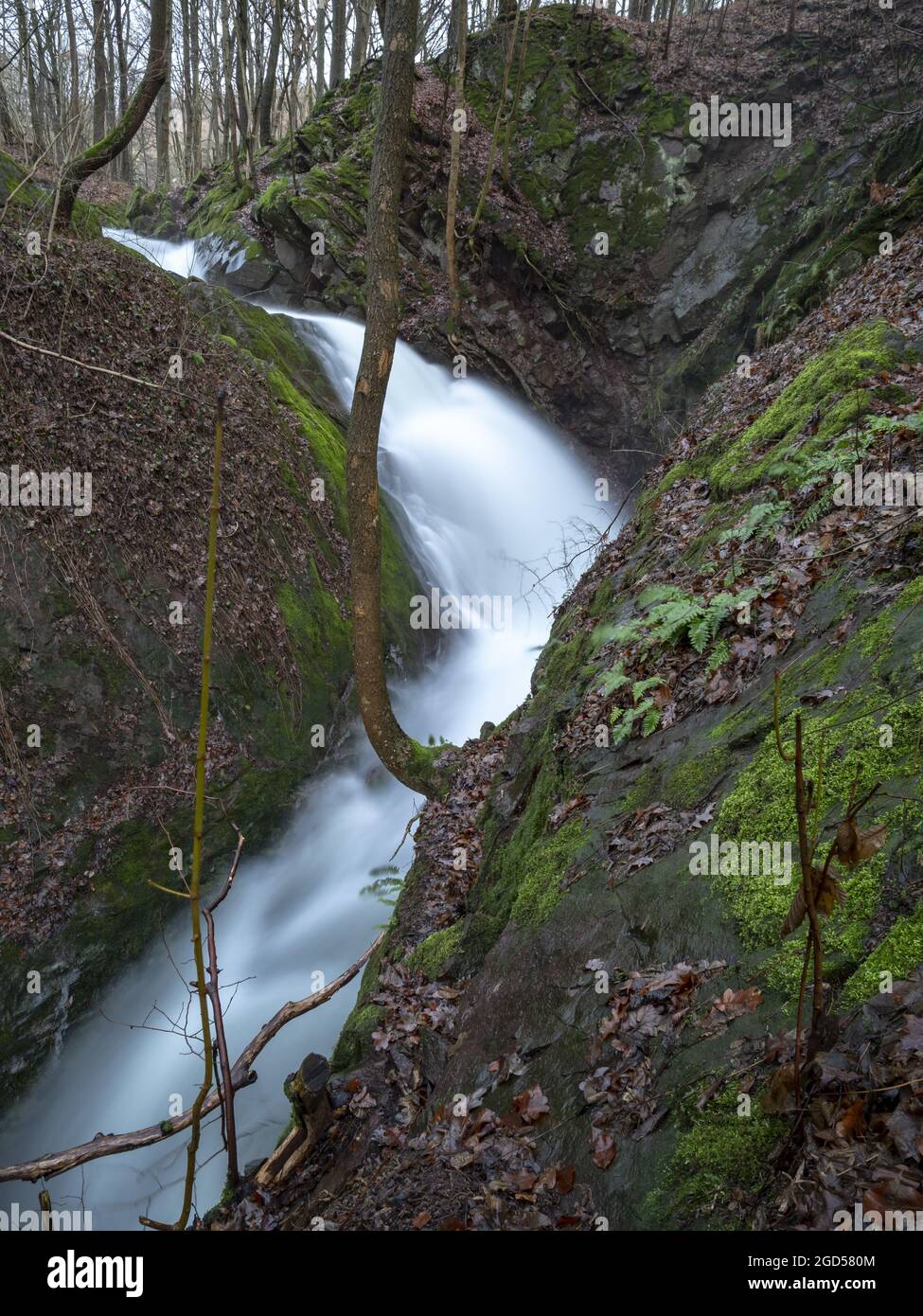 Beautiful shot of a waterfall in the forest Stock Photo - Alamy