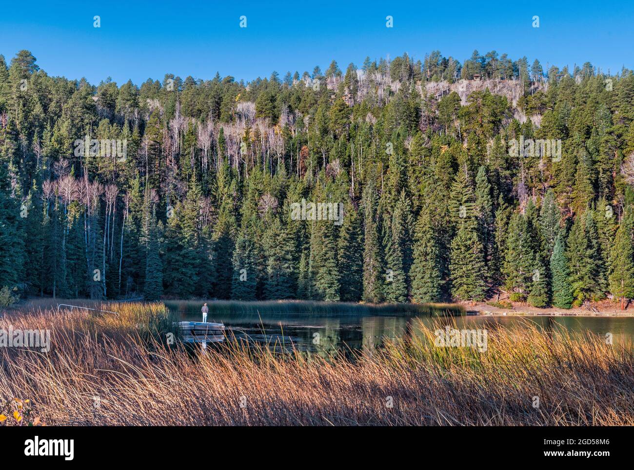 Posey hi-res stock photography and images - Alamy