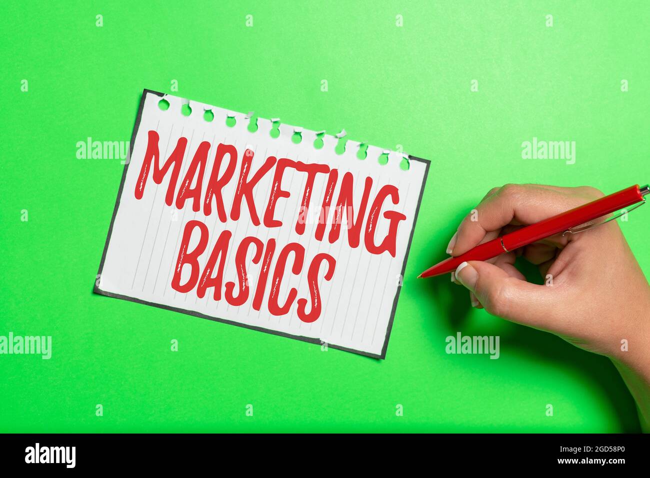 Text caption presenting Marketing Basics. Business concept activities a ...