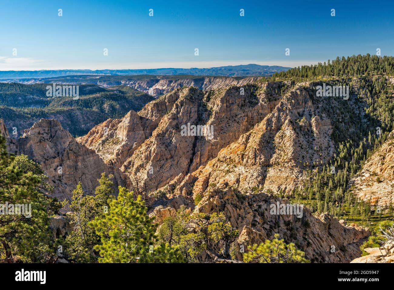 Box Death Hollow Wilderness, view from Hells Backbone Road, Dixie ...