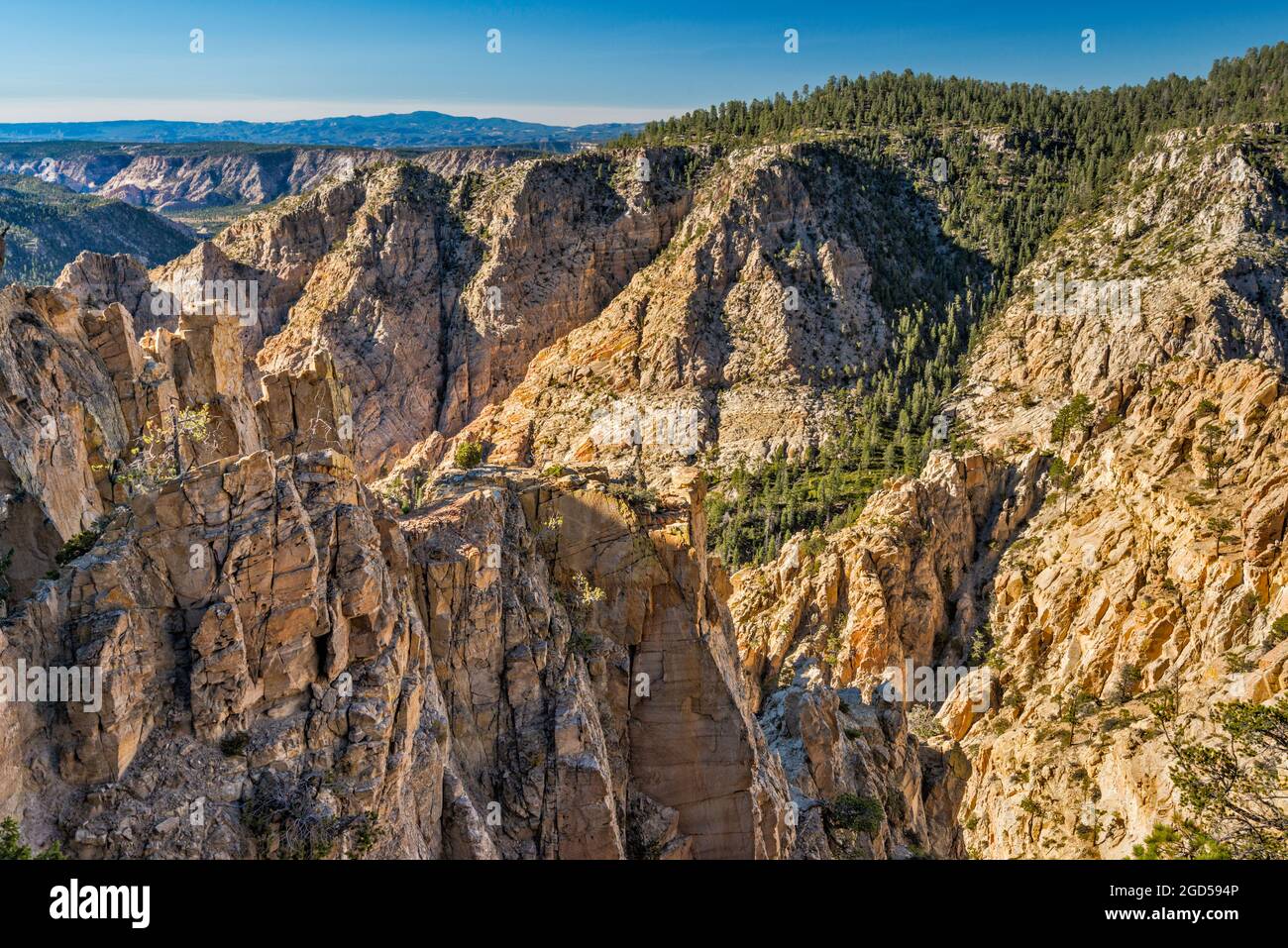 Box Death Hollow Wilderness, view from Hells Backbone Road, Dixie ...