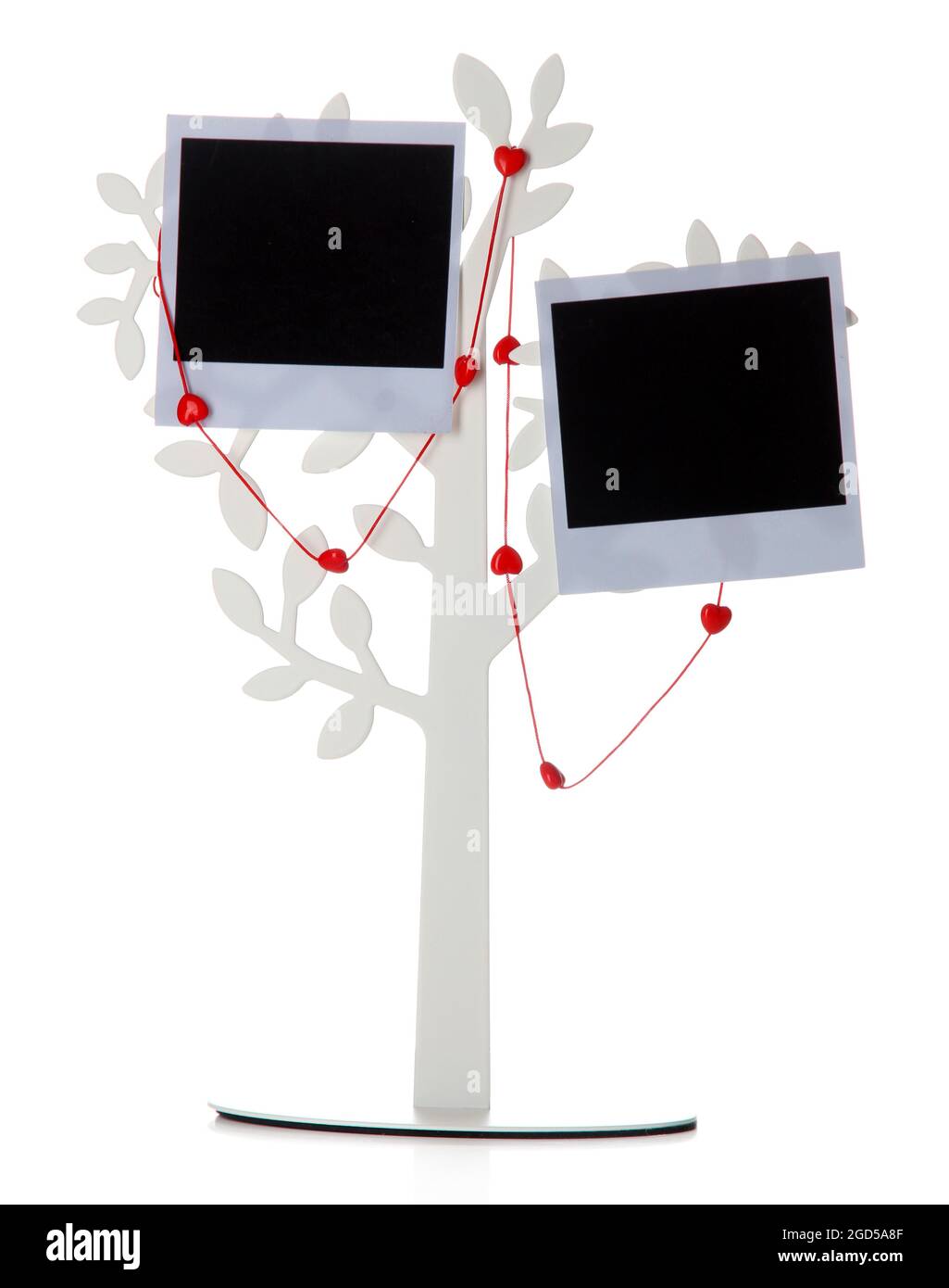 Holder in form of tree with instant photo cards isolated on white Stock ...