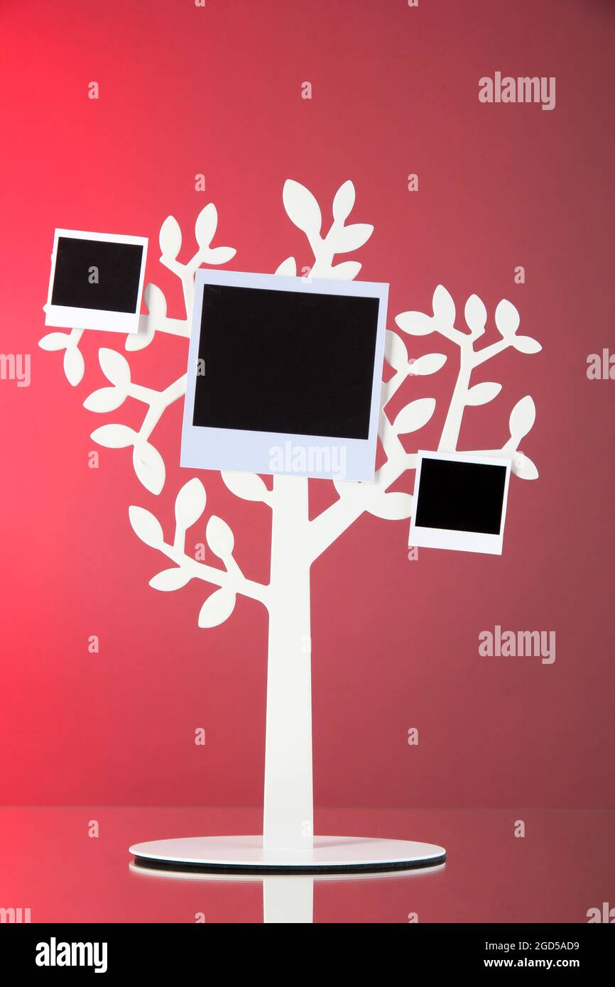 Holder in form of tree with instant photo cards on dark color ...