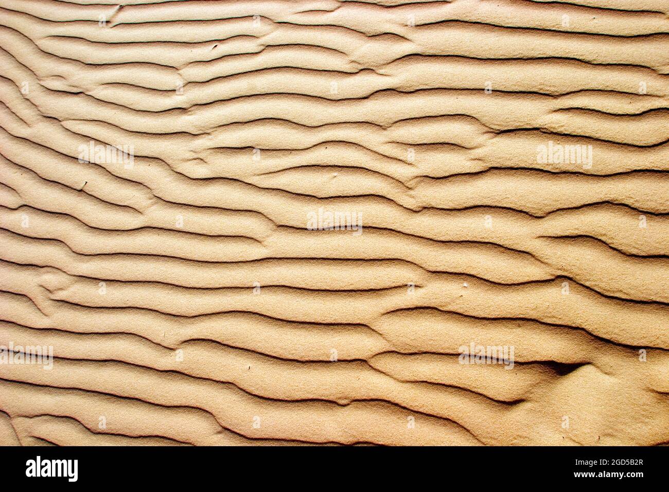 wind shaped Desert sand dune Stock Photo - Alamy