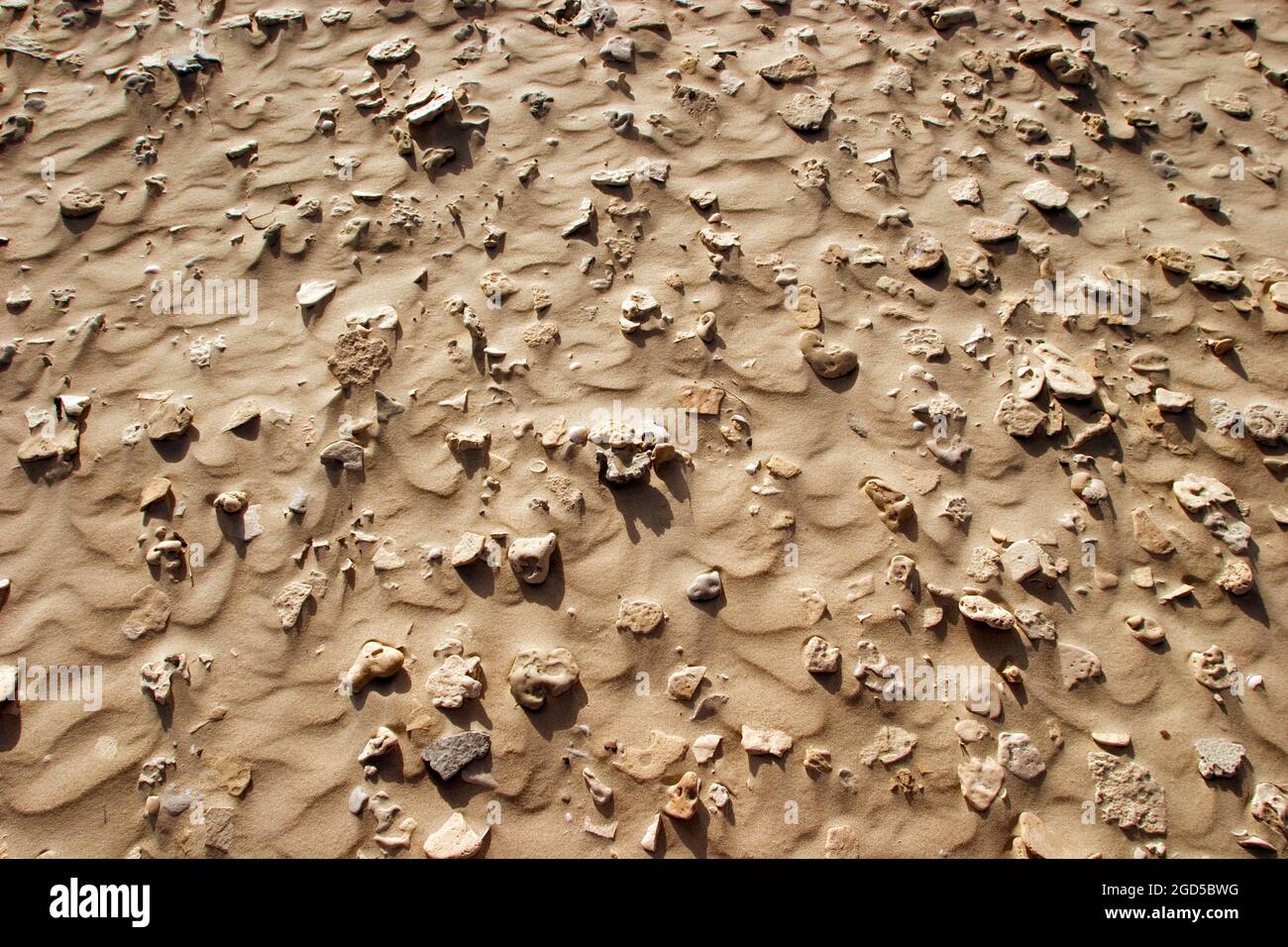 stones, rocks and pebbles, embedded partially in wind swept sand Stock ...