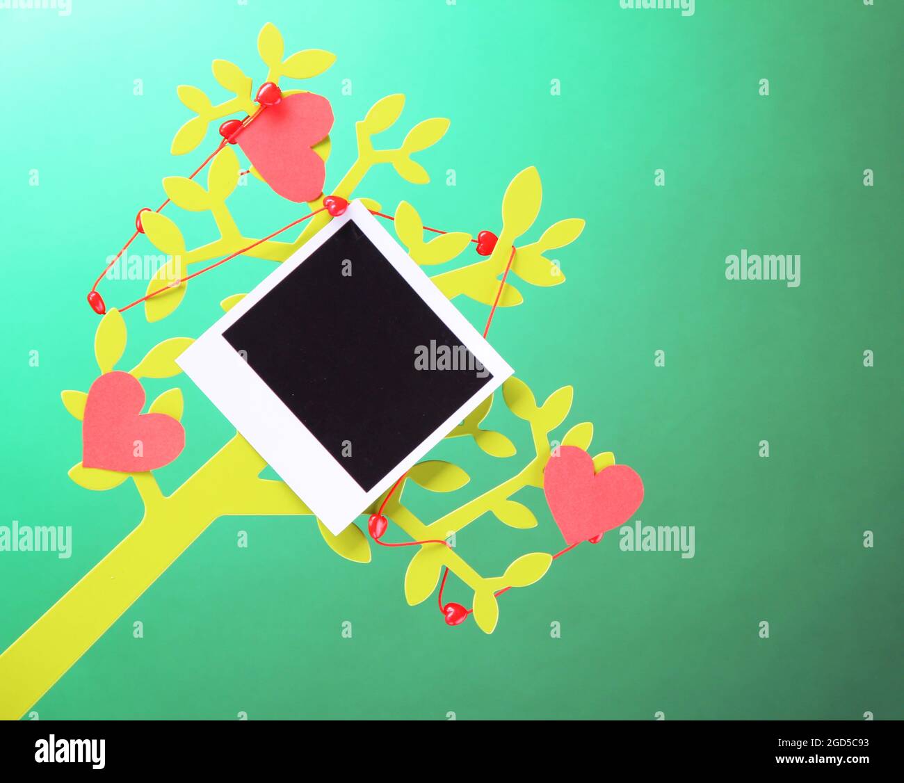 Holder in form of tree with instant photo cards on dark color ...