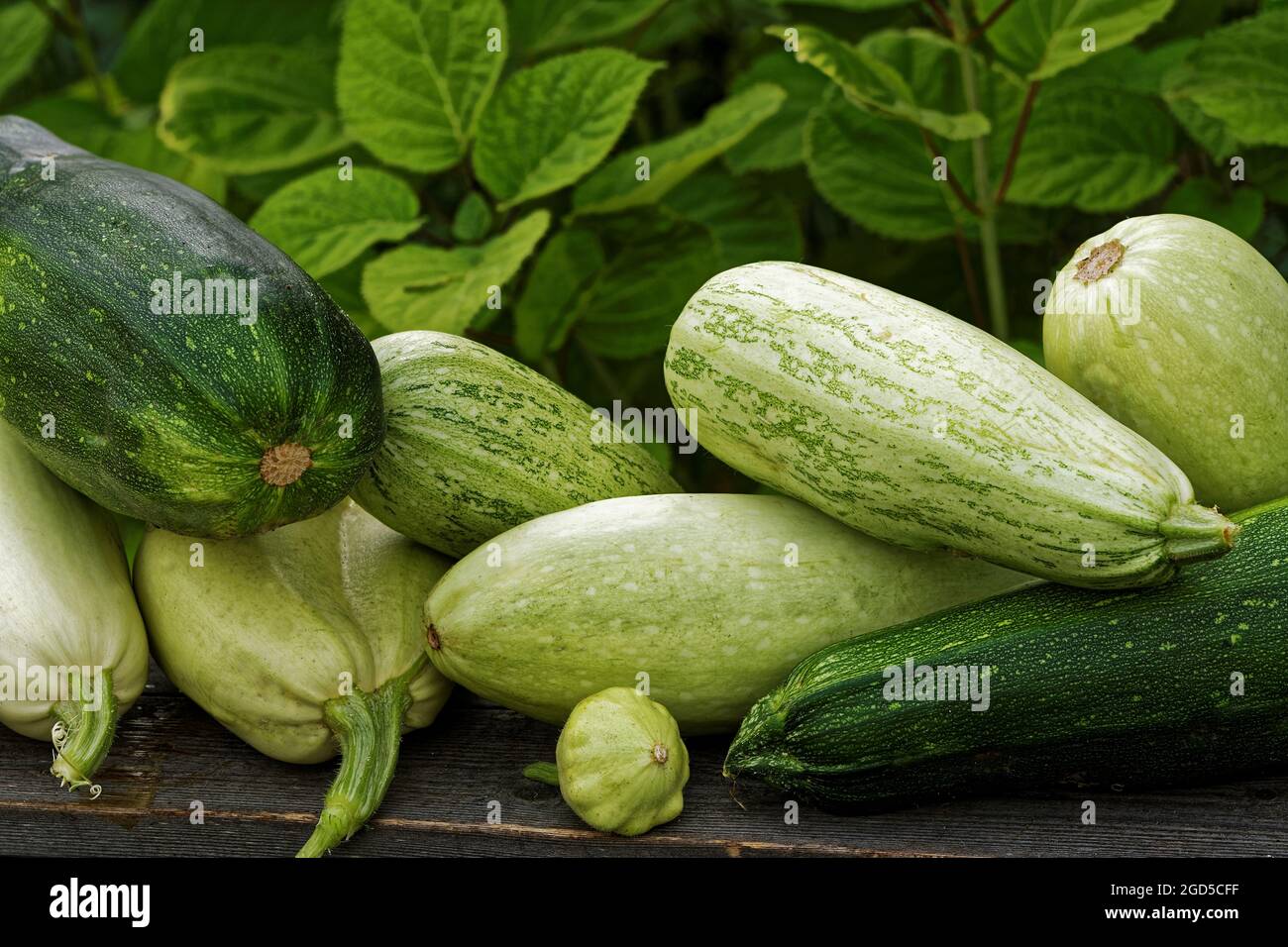 Pictures of vegetables hi-res stock photography and images - Alamy
