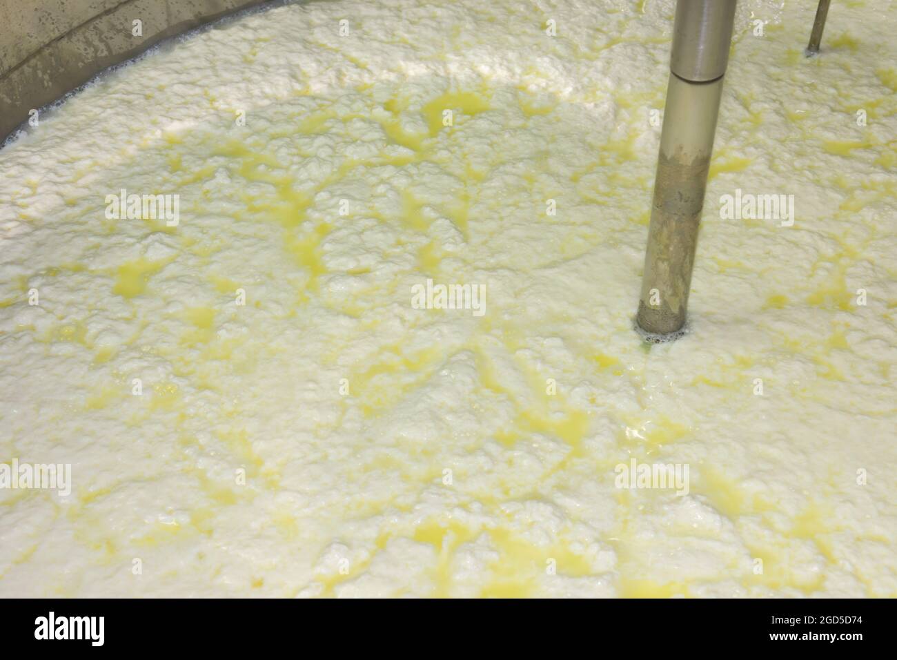 phases of ricotta production in a cheese factory in Greece Stock Photo ...