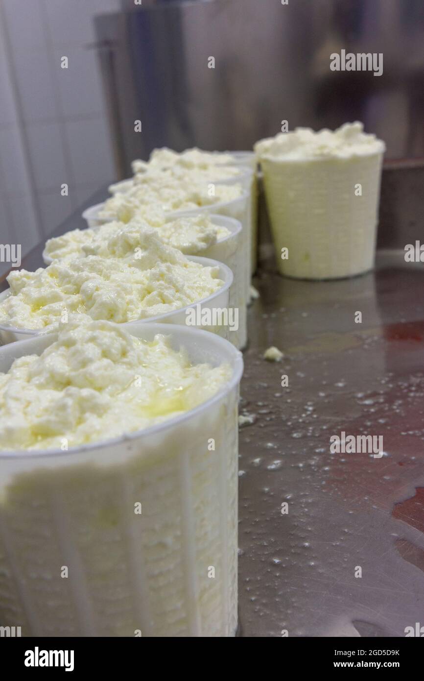 phases of ricotta production in a cheese factory in Greece Stock Photo ...