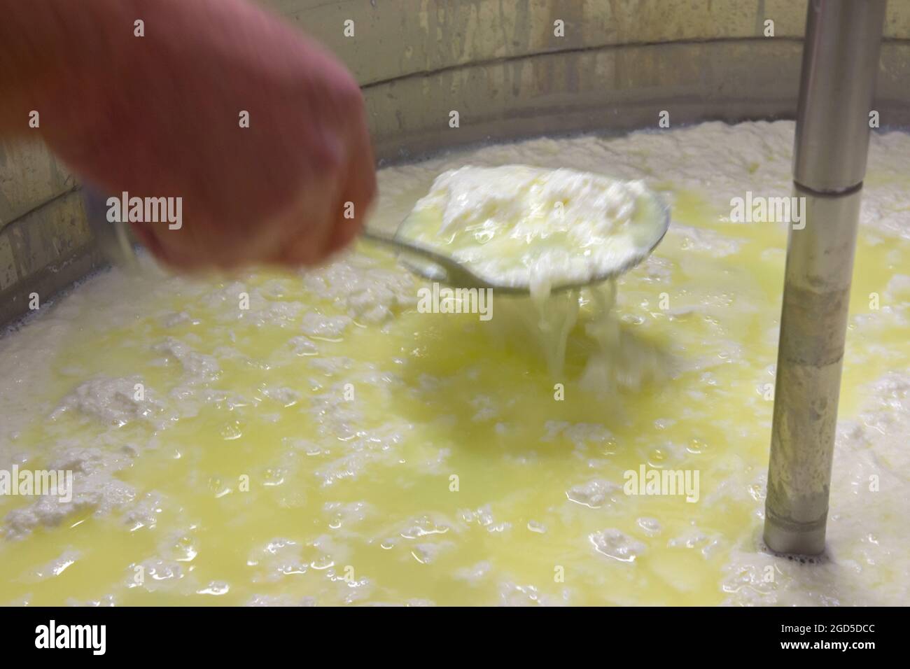 phases of ricotta production in a cheese factory in Greece Stock Photo ...