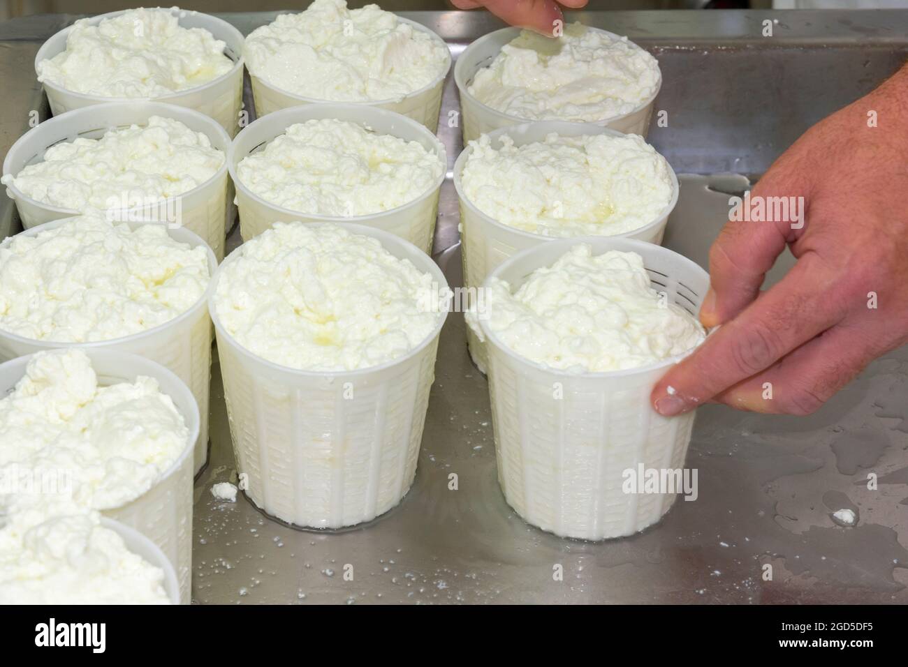 phases of ricotta production in a cheese factory in Greece Stock Photo ...