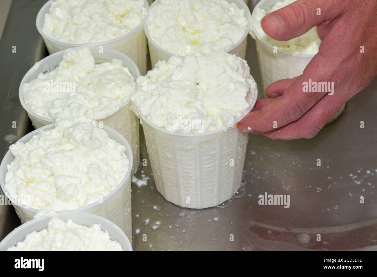 phases of ricotta production in a cheese factory in Greece Stock Photo ...