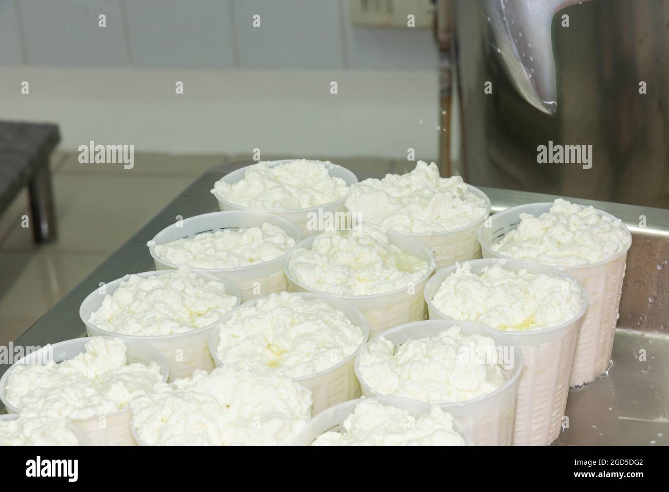 phases of ricotta production in a cheese factory in Greece Stock Photo ...