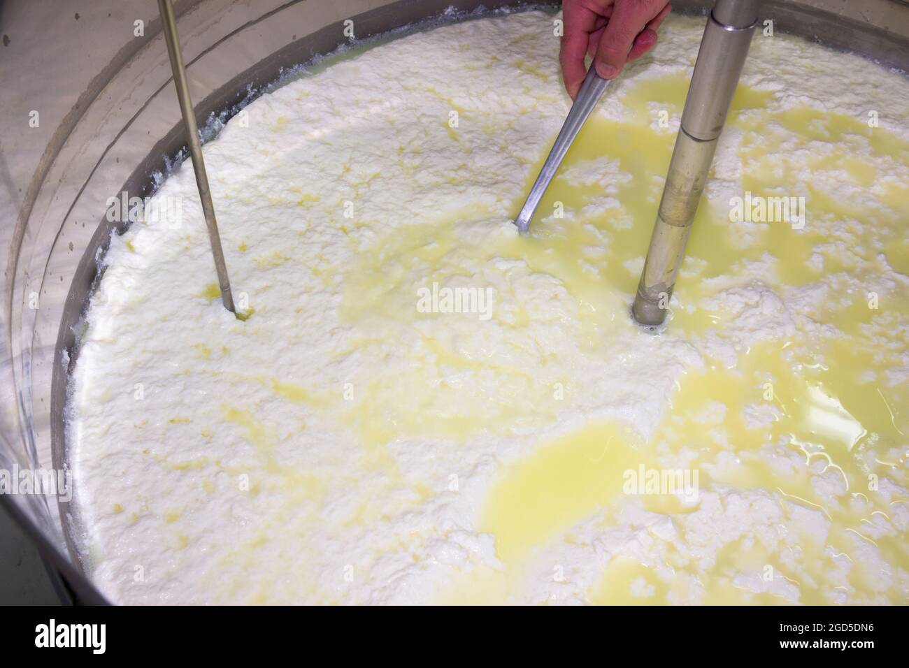 phases of ricotta production in a cheese factory in Greece Stock Photo ...