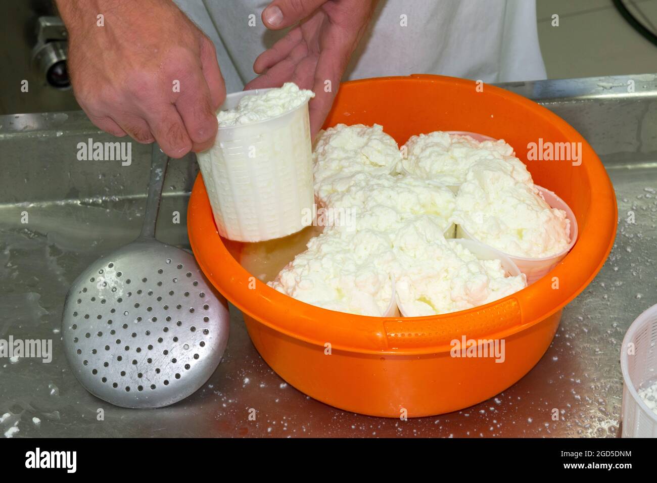 phases of ricotta production in a cheese factory in Greece Stock Photo ...