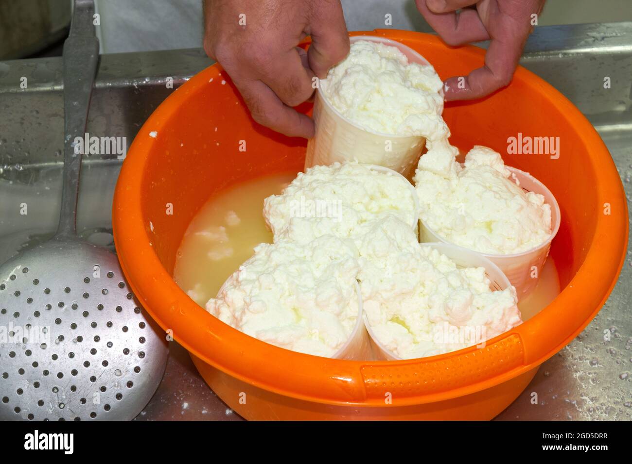 phases of ricotta production in a cheese factory in Greece Stock Photo ...