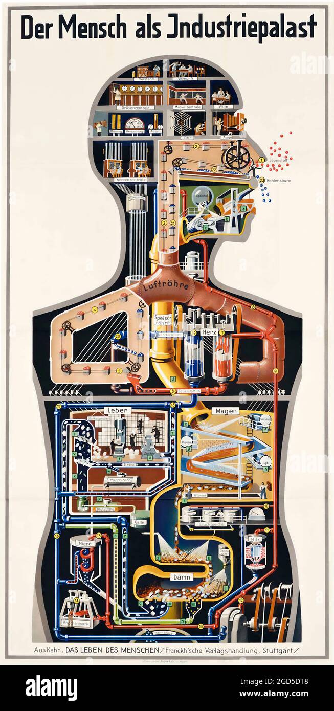 Der Mensch als Industriepalast (Man as Industrial Palace), a life-size ...