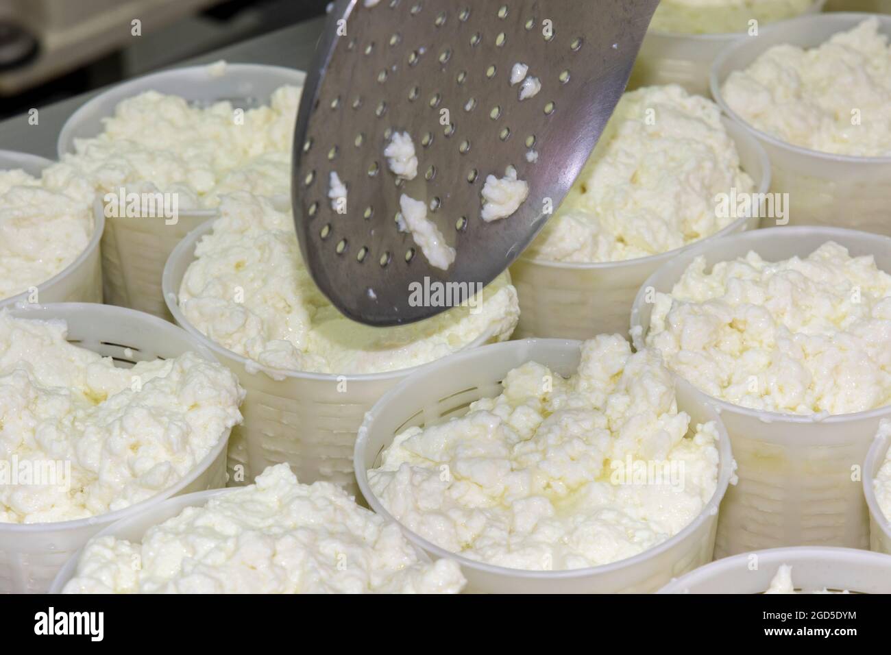 phases of ricotta production in a cheese factory in Greece Stock Photo ...