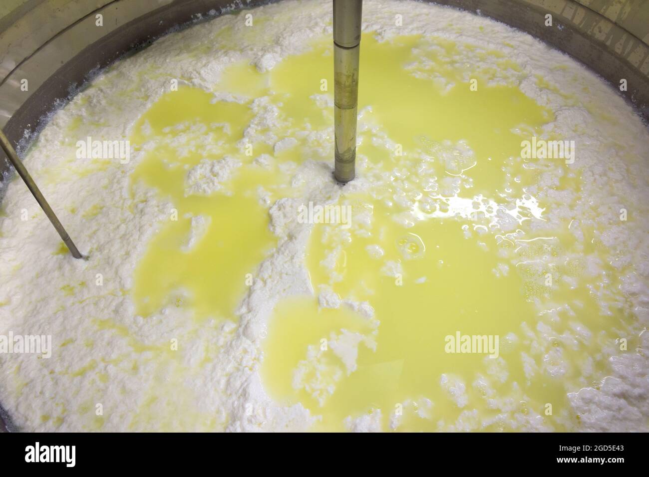 phases of ricotta production in a cheese factory in Greece Stock Photo ...