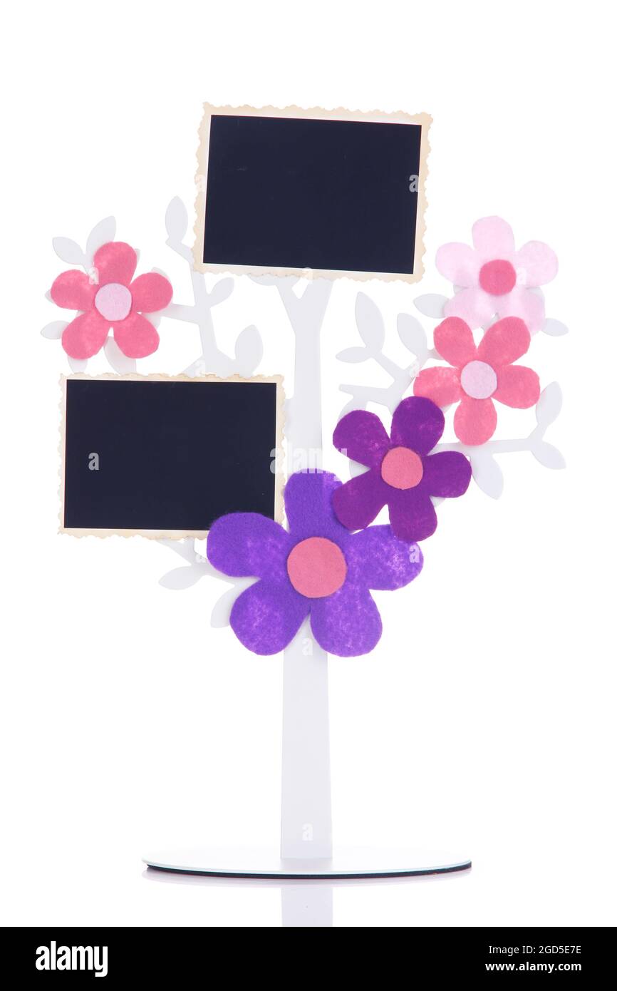 Holder in form of tree with instant photo cards isolated on white Stock ...