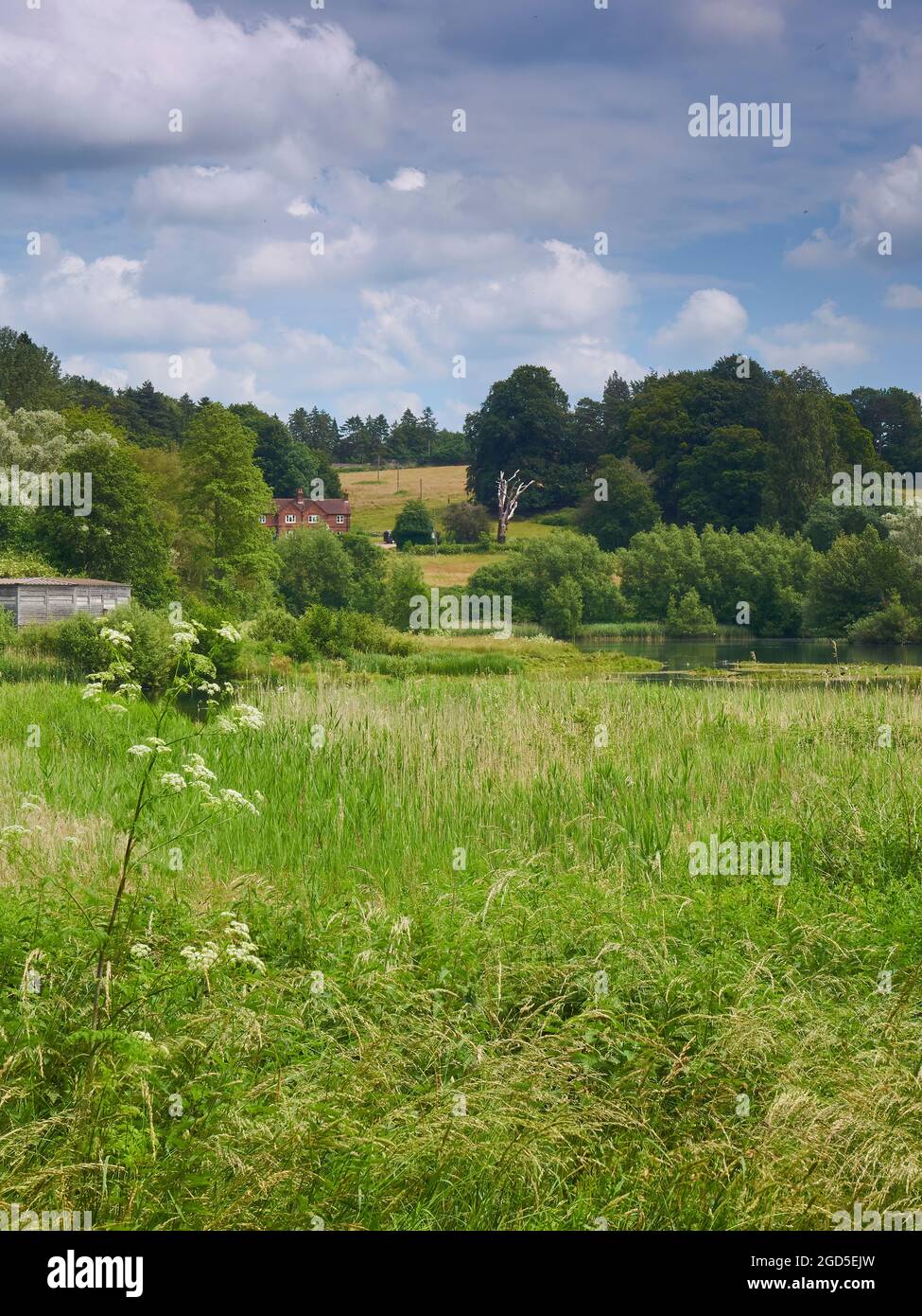 Uncultivated field trees no people hi-res stock photography and images ...