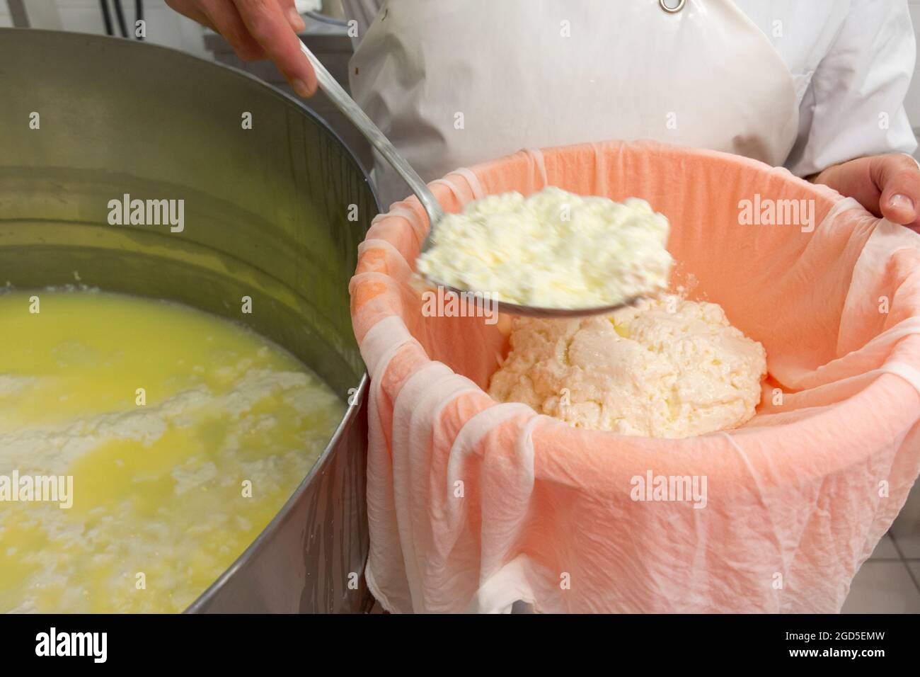 phases of ricotta production in a cheese factory in Greece Stock Photo ...