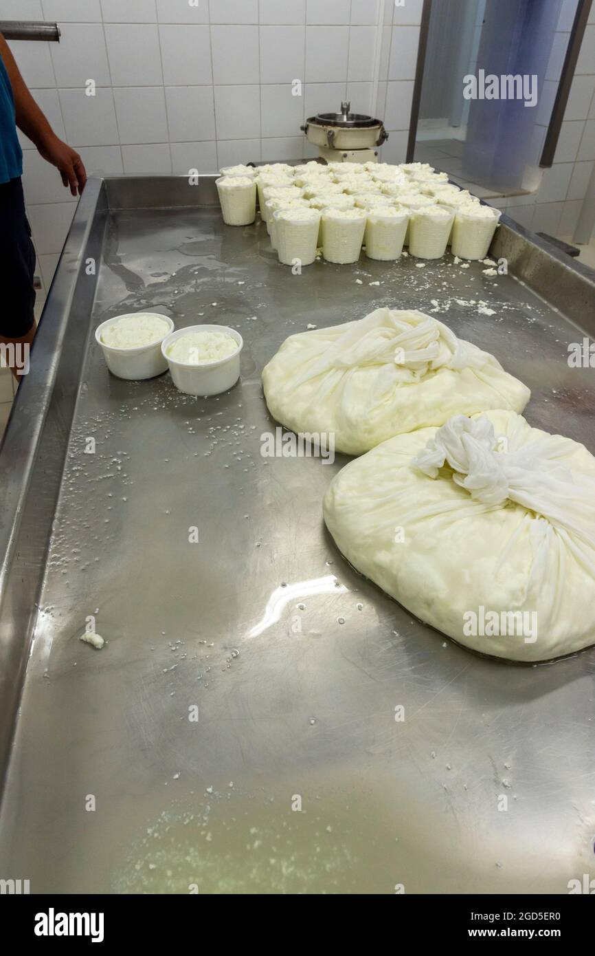 phases of ricotta production in a cheese factory in Greece Stock Photo ...